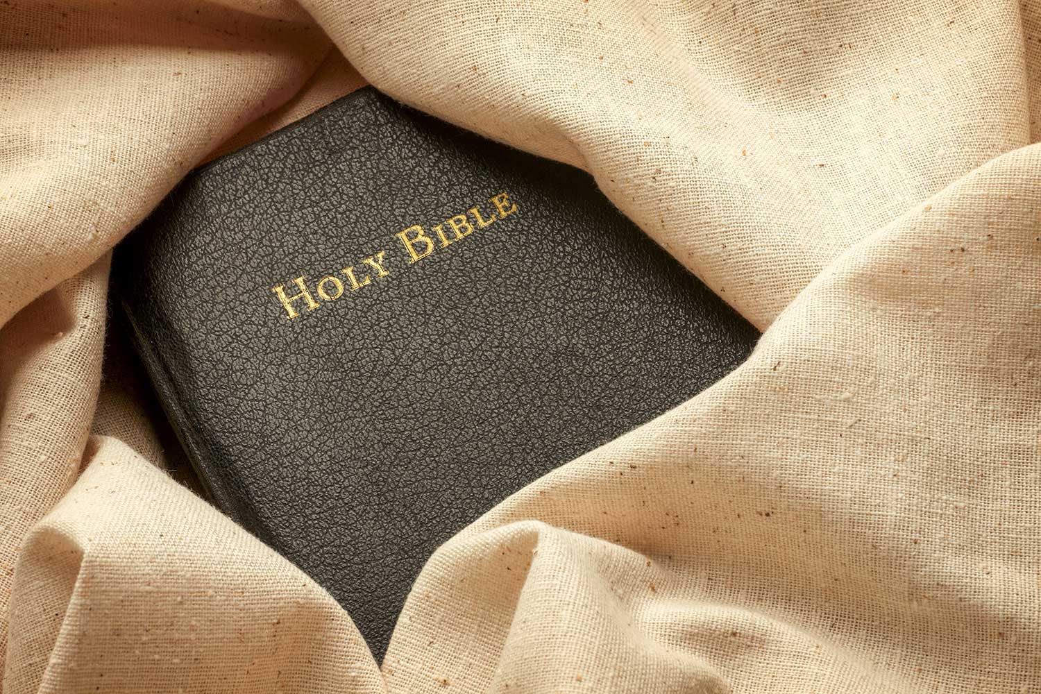 The Bible Is Fact - WATV Webinar - World Mission Society Church of God